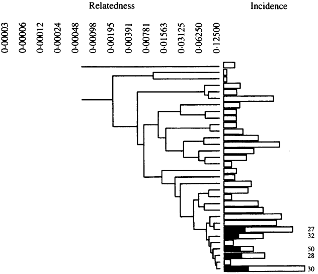 Genetic & environmental factors in elbow dysplasia